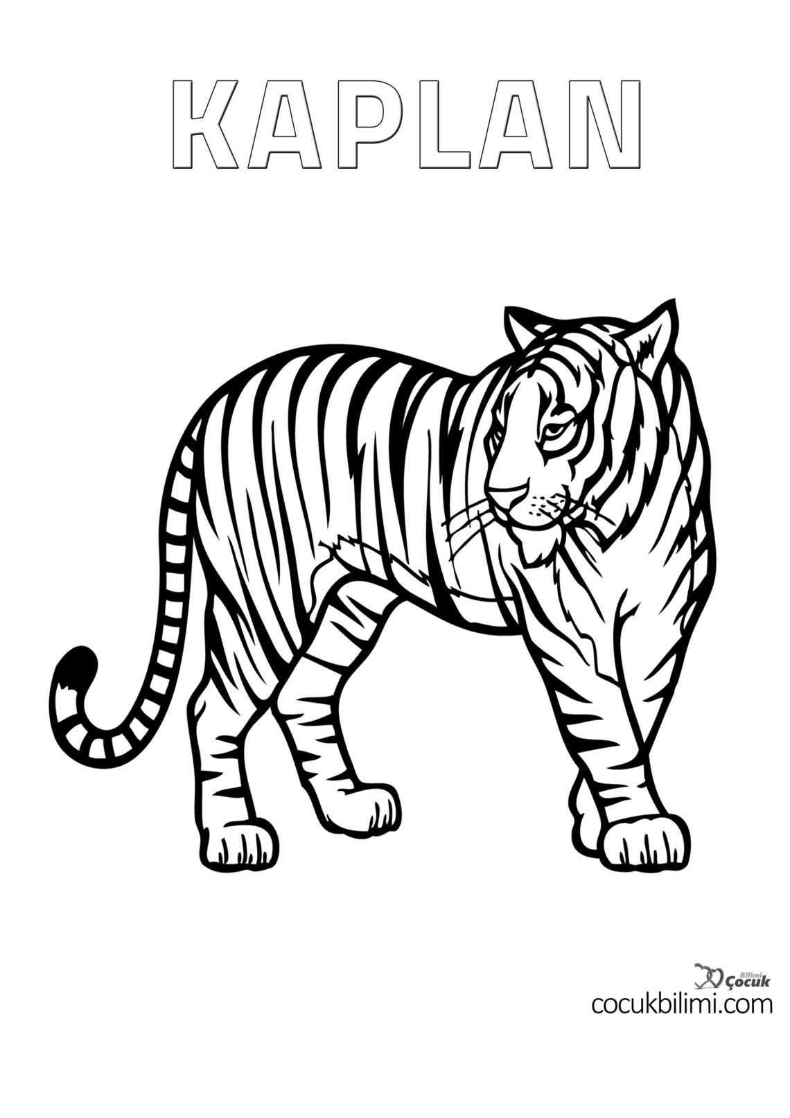 Hayvanlar Boyama Sayfaları - Çocuk Bilimi [İNDİR ve YAZDIR]