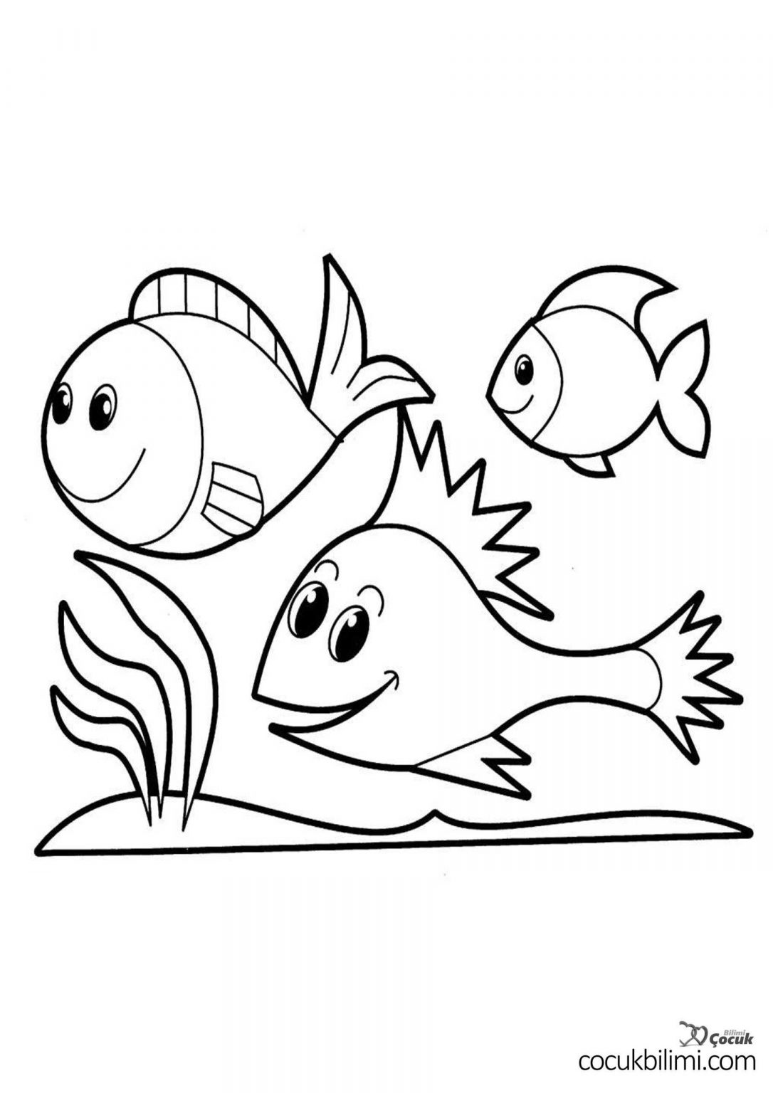 Balık Boyama Sayfaları - Çocuk Bilimi [İNDİR ve YAZDIR]